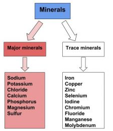 11.1 – Introduction to Major Minerals – Nutrition 100 Nutritional ...